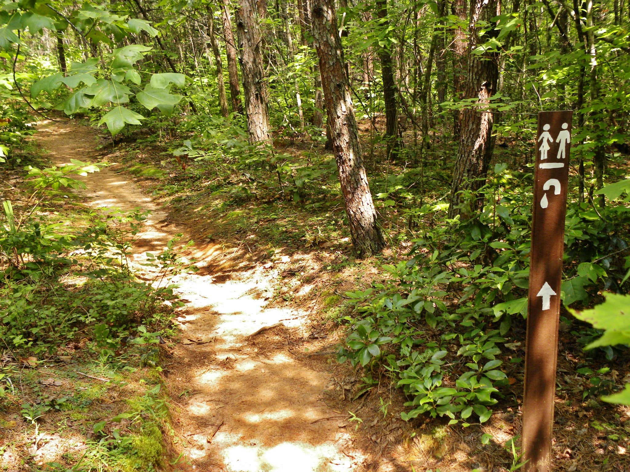 Pine Point Primitive Campground — Table Rock State Park | Sunset, SC