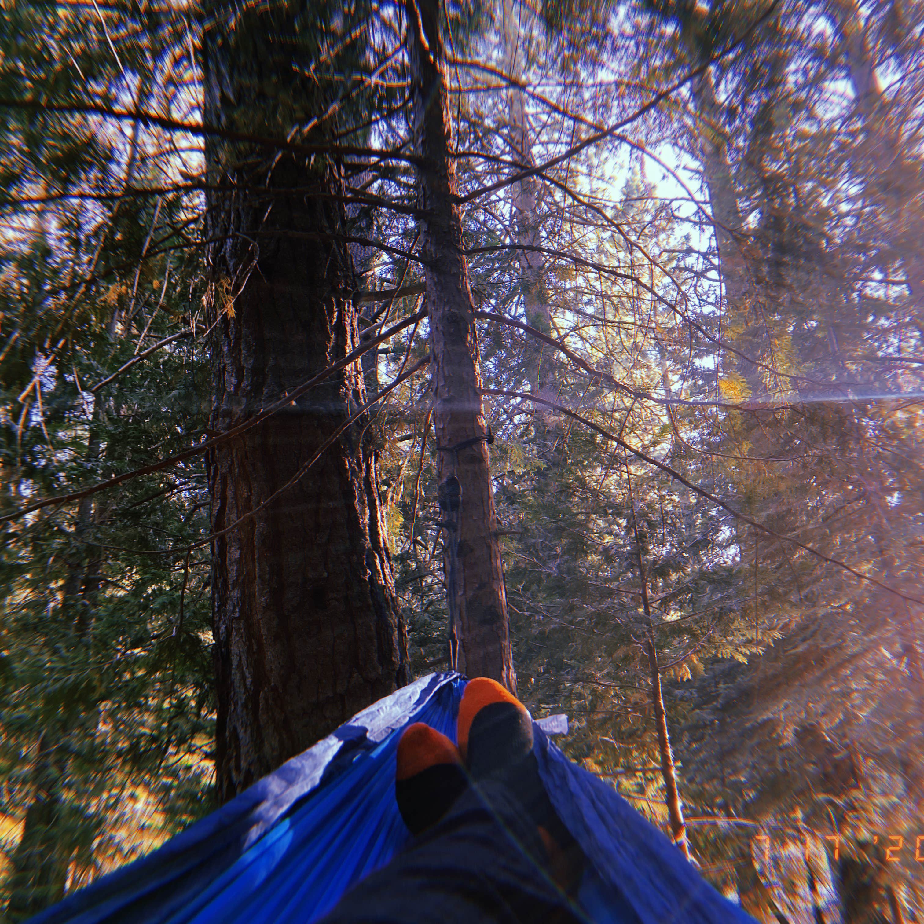 China Flat Campground Camping | The Dyrt