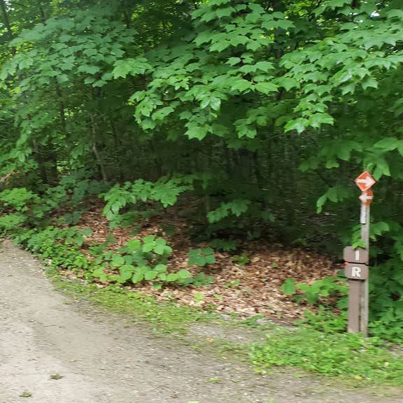 Savoy Mountain State Forest Camping | The Dyrt