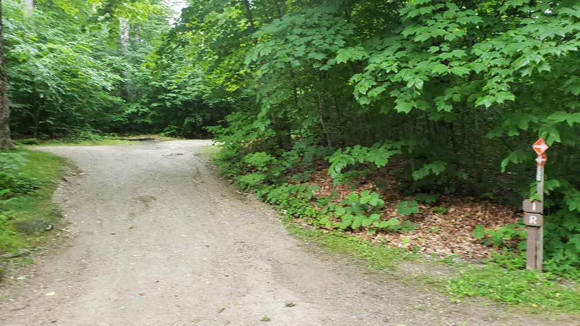 Savoy Mountain State Forest | The Dyrt