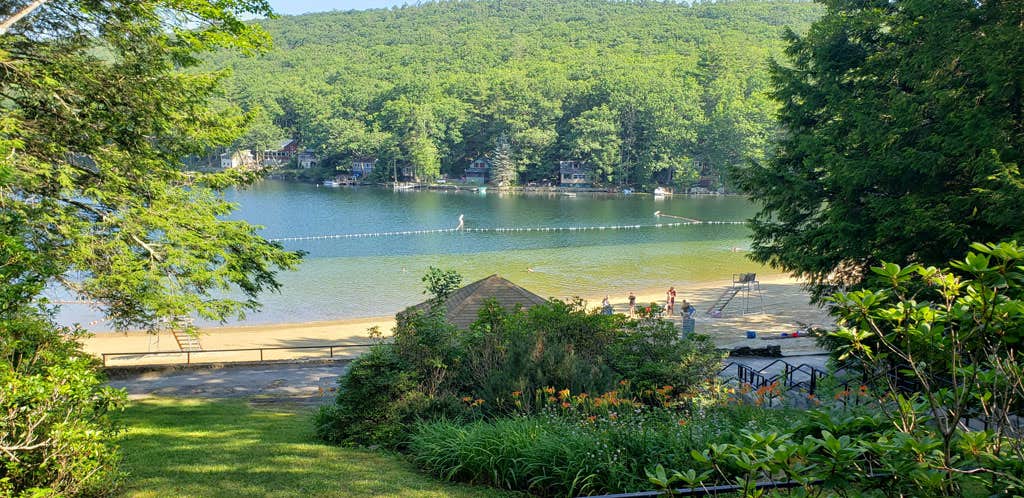 Erving State Forest | The Dyrt