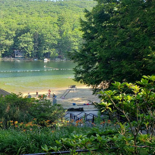 Erving State Forest Campground | Erving, Massachusetts