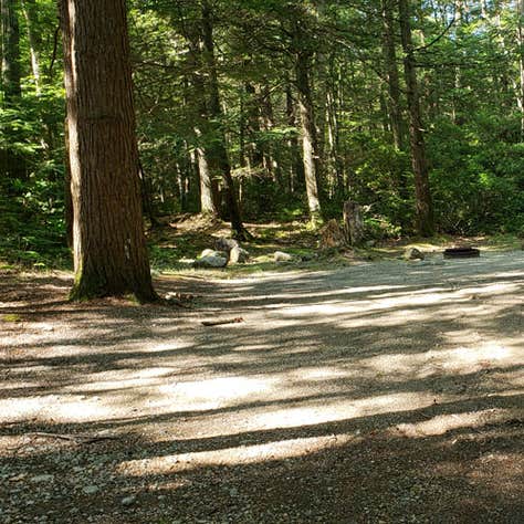 Erving State Forest Campground | Erving, Massachusetts
