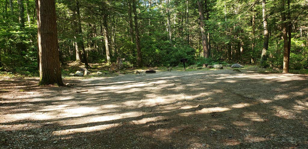 Erving State Forest Campground | Erving, Massachusetts