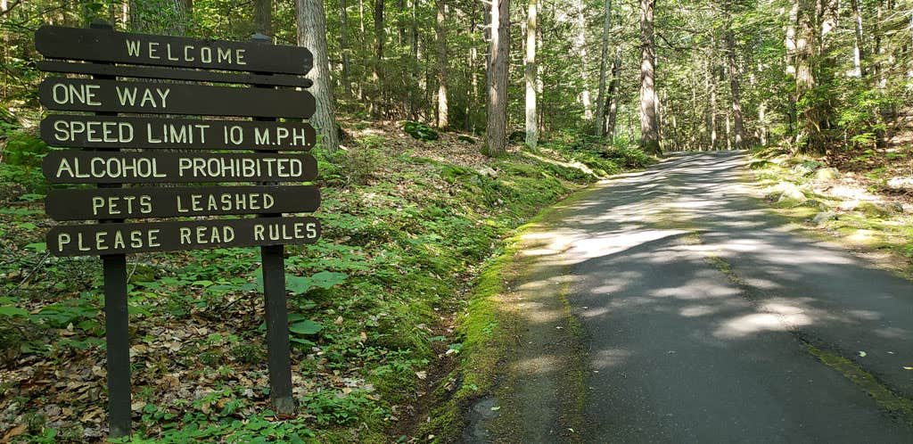 Erving State Forest Camping | Erving, MA