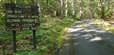 Erving State Forest | The Dyrt