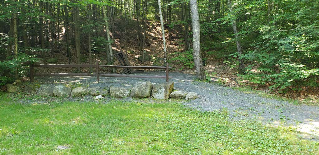 Erving State Forest Camping | Erving, MA