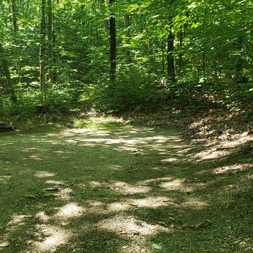 Erving State Forest Camping | The Dyrt