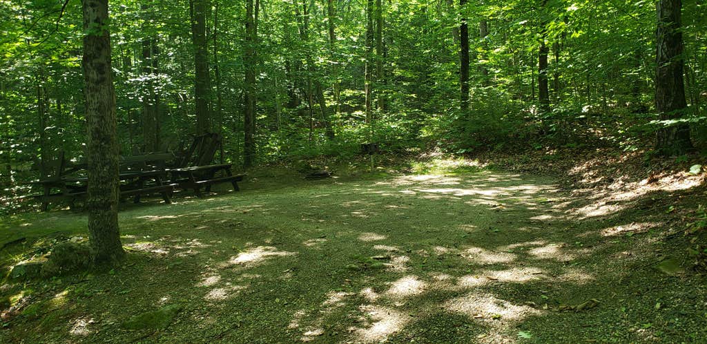 Erving State Forest Campground | Erving, Massachusetts
