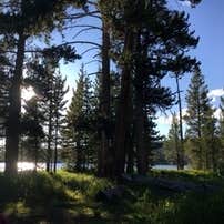 Backcountry Grebe Lake site 4G2 Camping | The Dyrt
