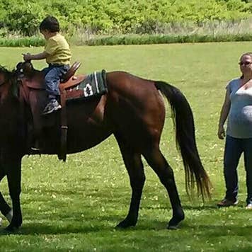 Bear Run Campground Camping | The Dyrt