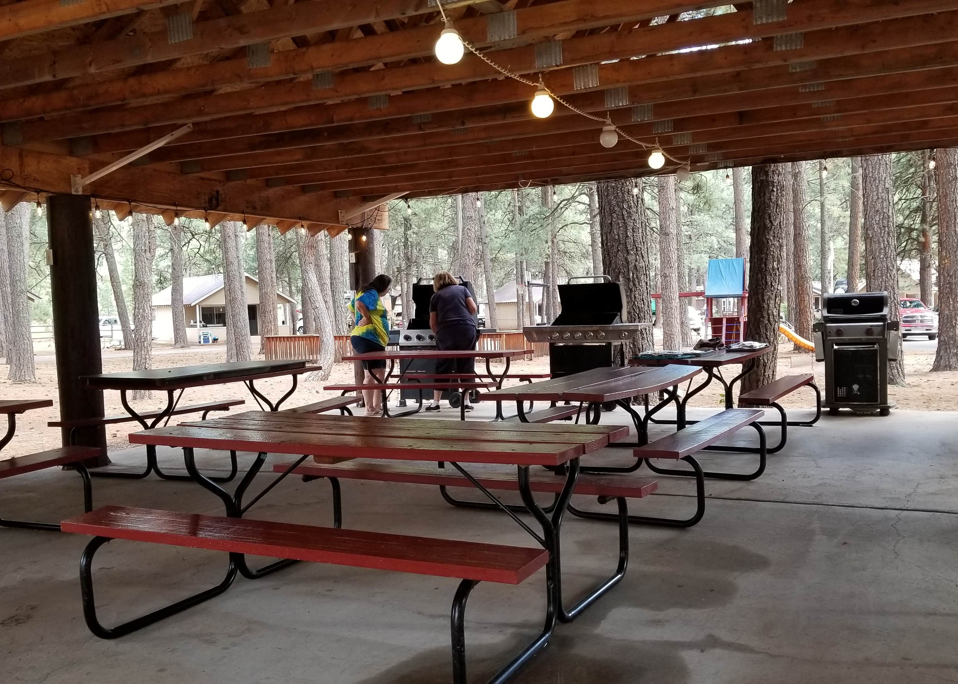Vallecito Resort Camping | The Dyrt