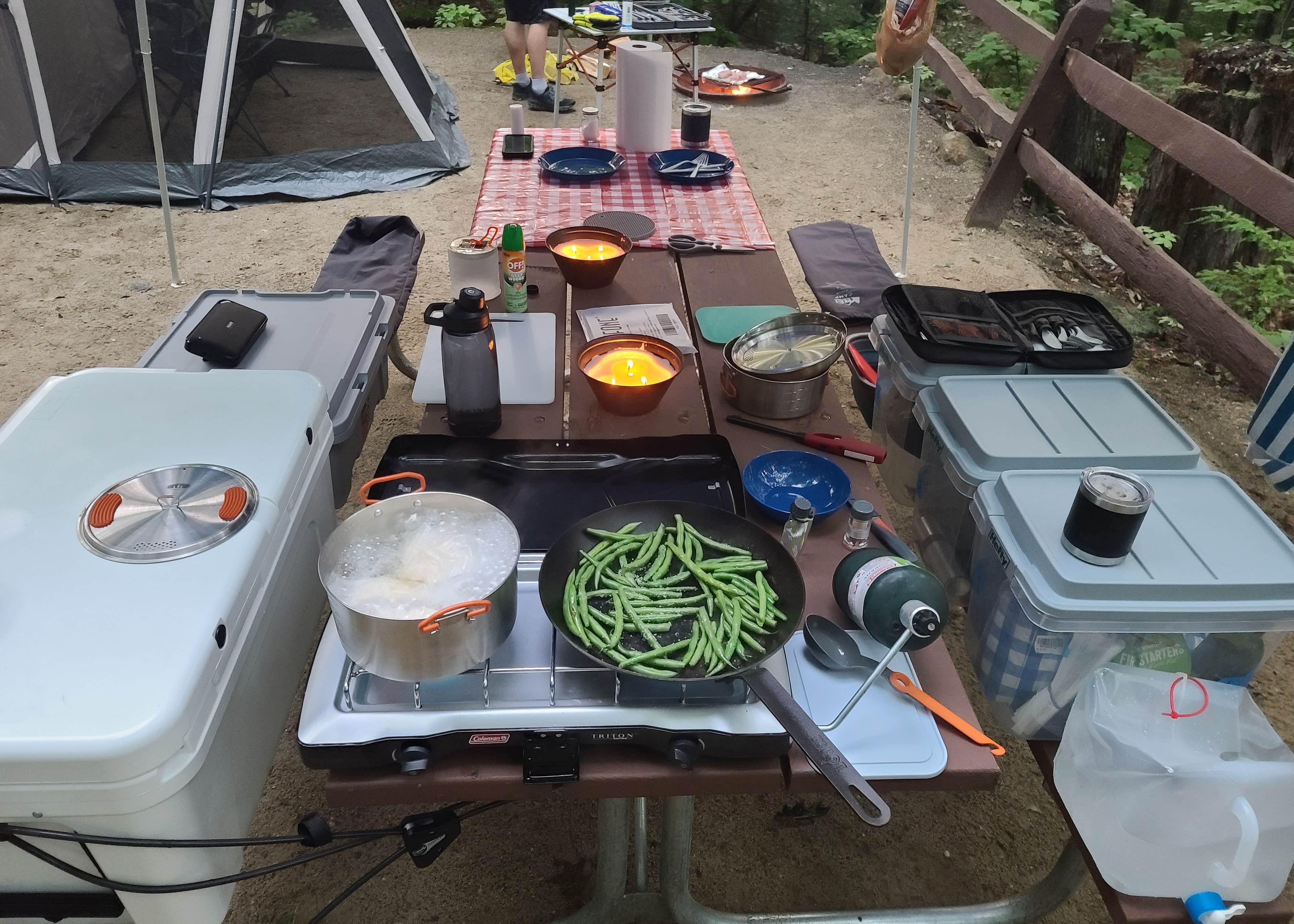 Erving State Forest Camping | The Dyrt