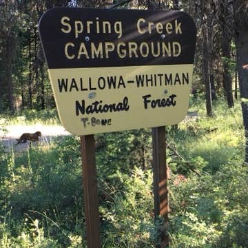 Spring Creek Campground Camping | The Dyrt