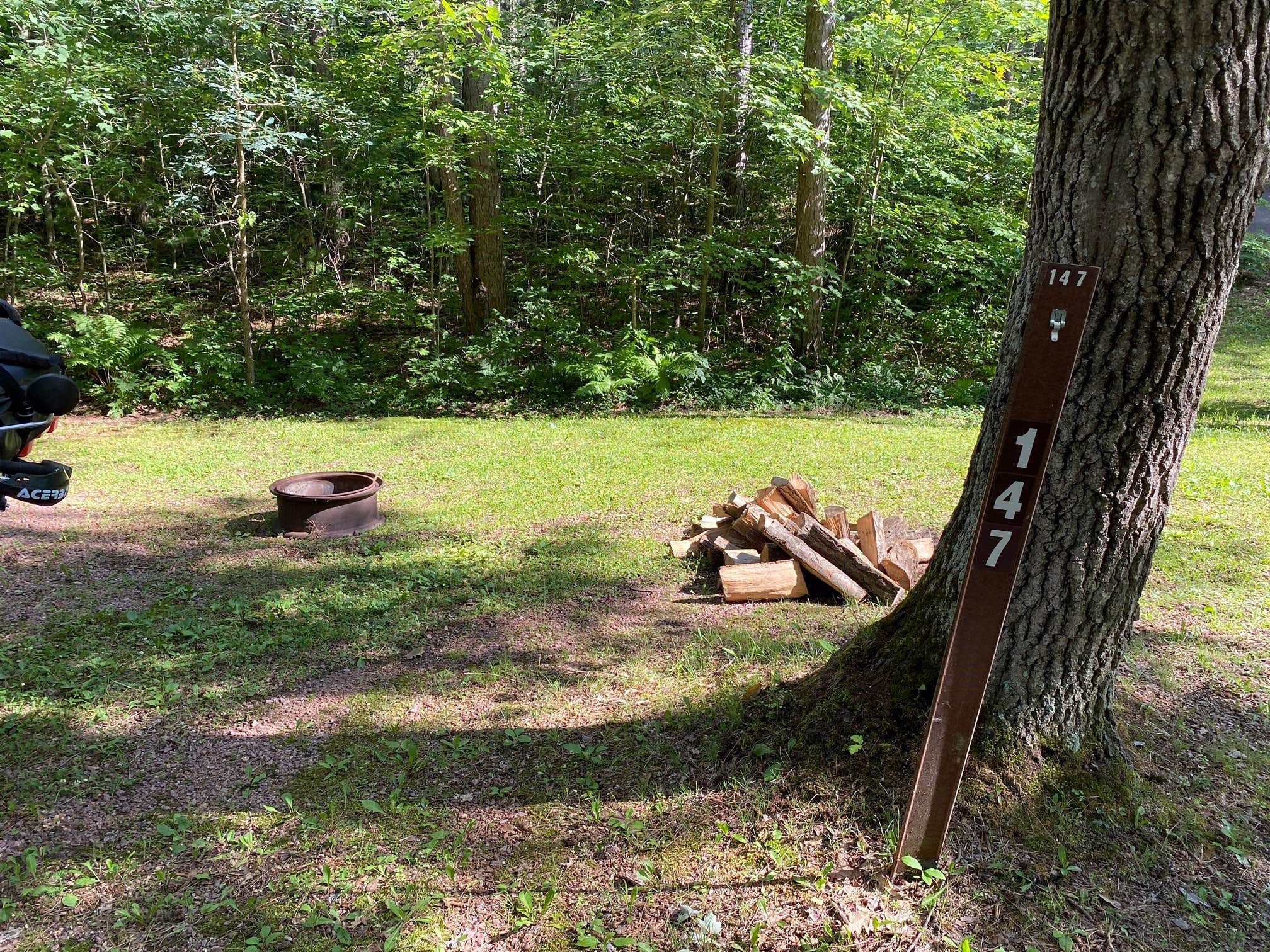 Rock Dam Park Camping | Willard, WI