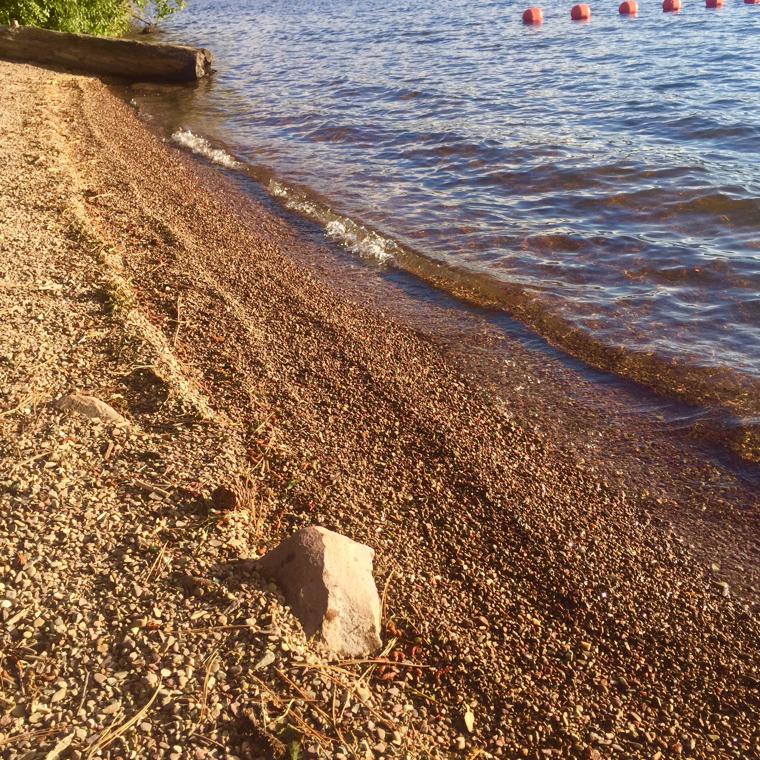 Placid Lake State Park Camping | The Dyrt