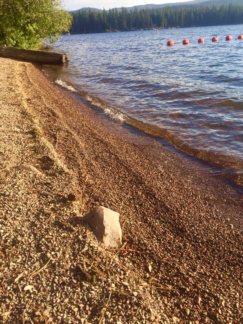 Placid Lake State Park Camping | The Dyrt