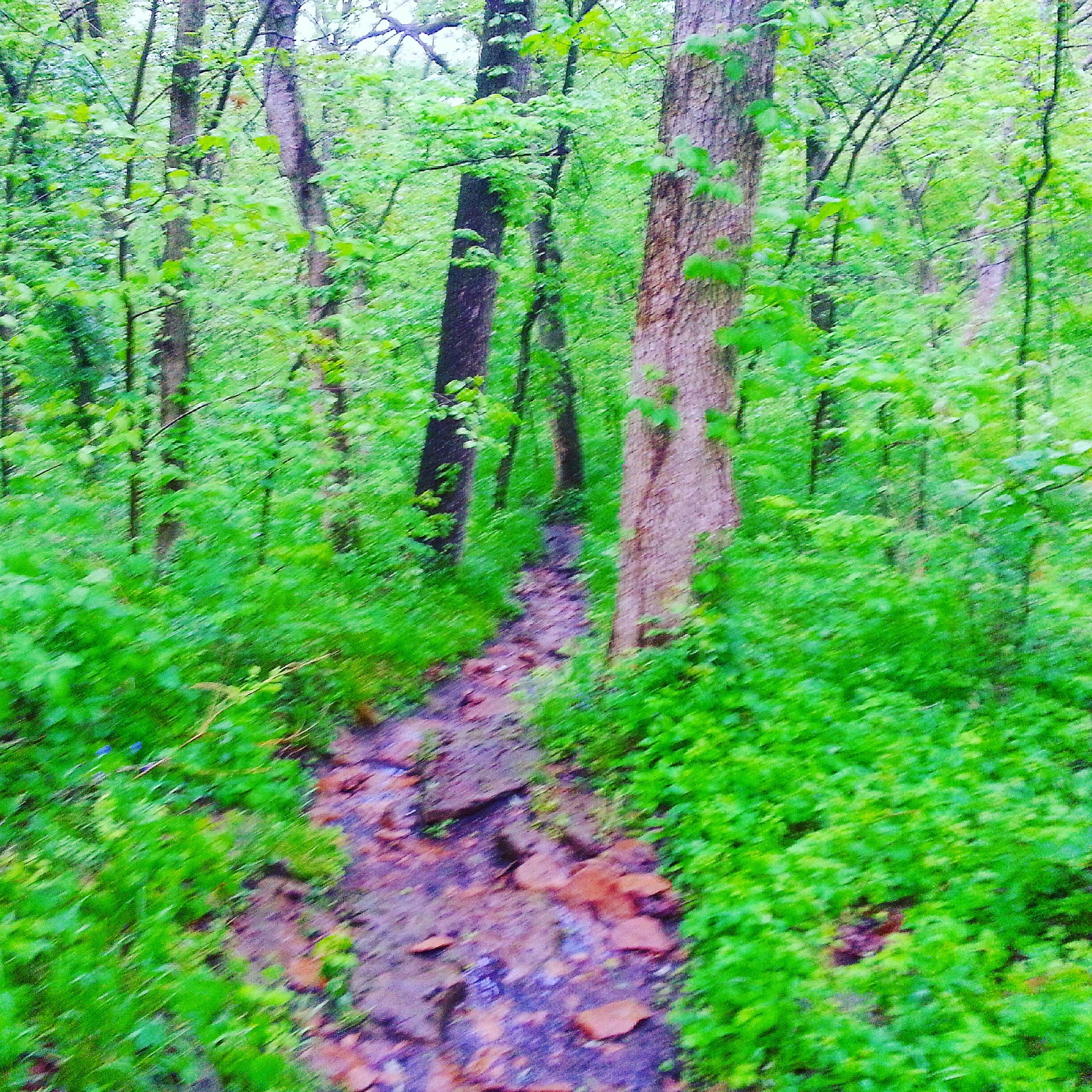 Prairie Clover Campground — Clinton State Park | Lawrence, Kansas