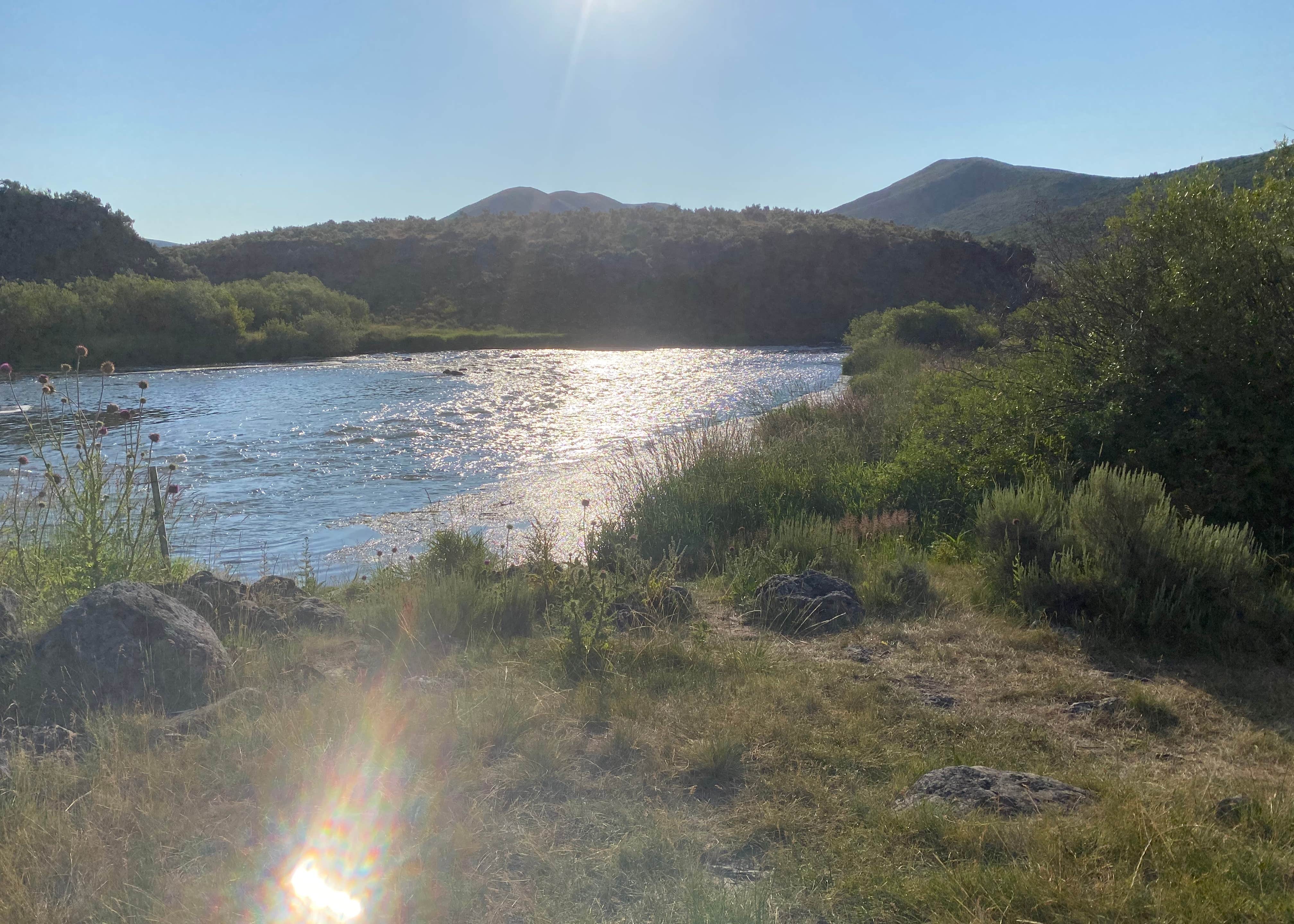 Sage Hen Flats Campground Camping | The Dyrt