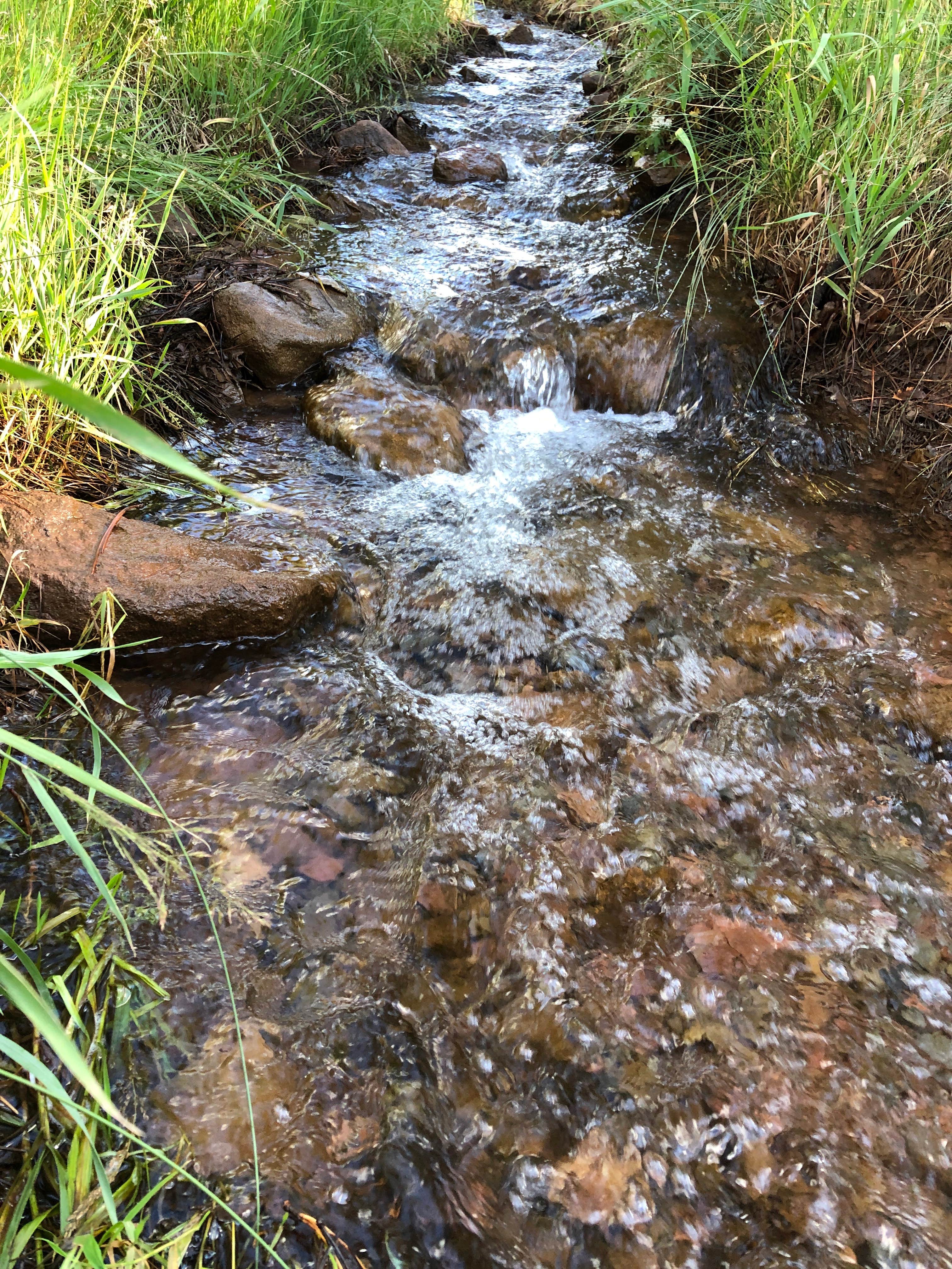 Monument Lake Resort | The Dyrt