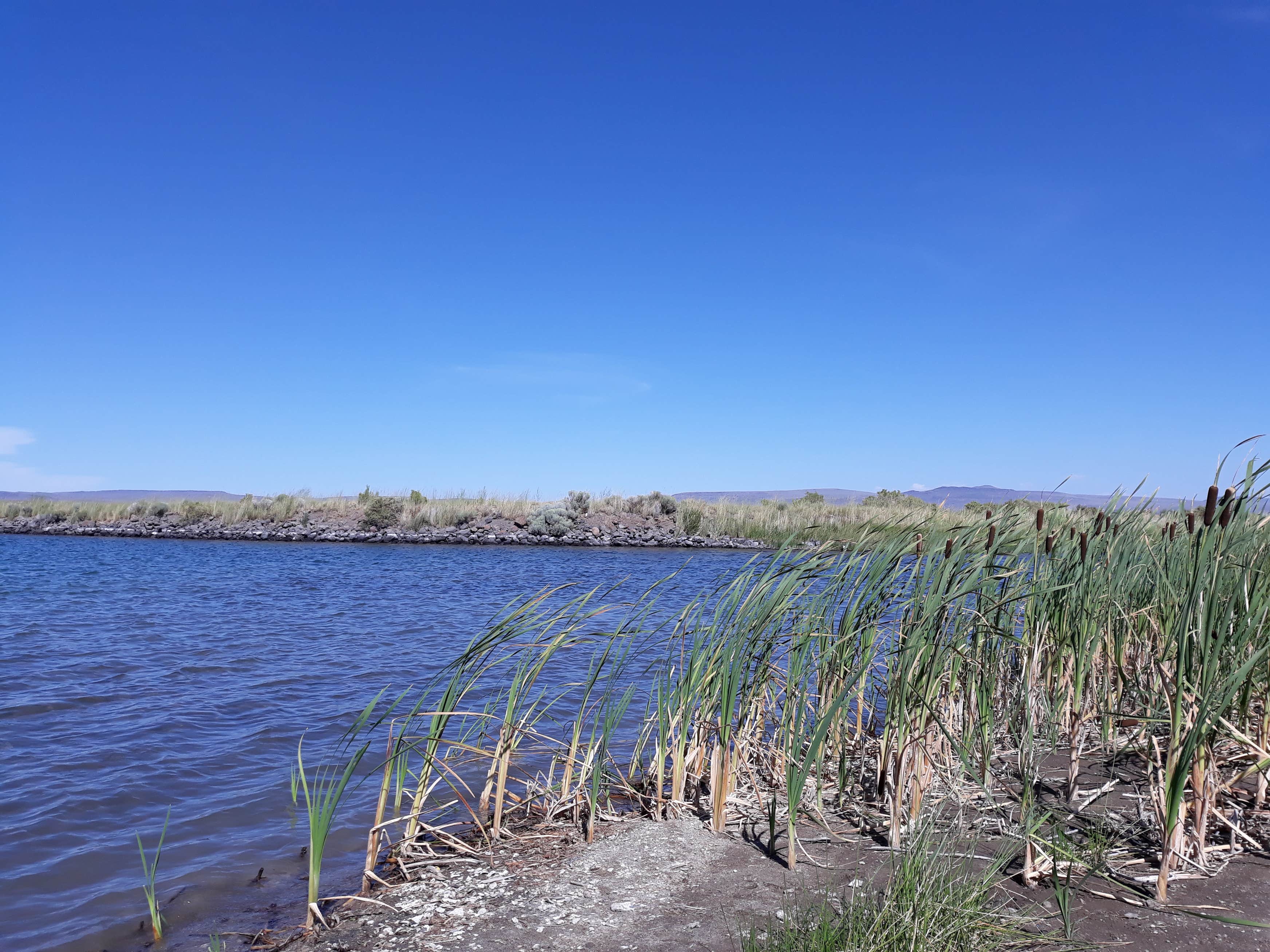 Ana Reservoir RV Park Camping | The Dyrt