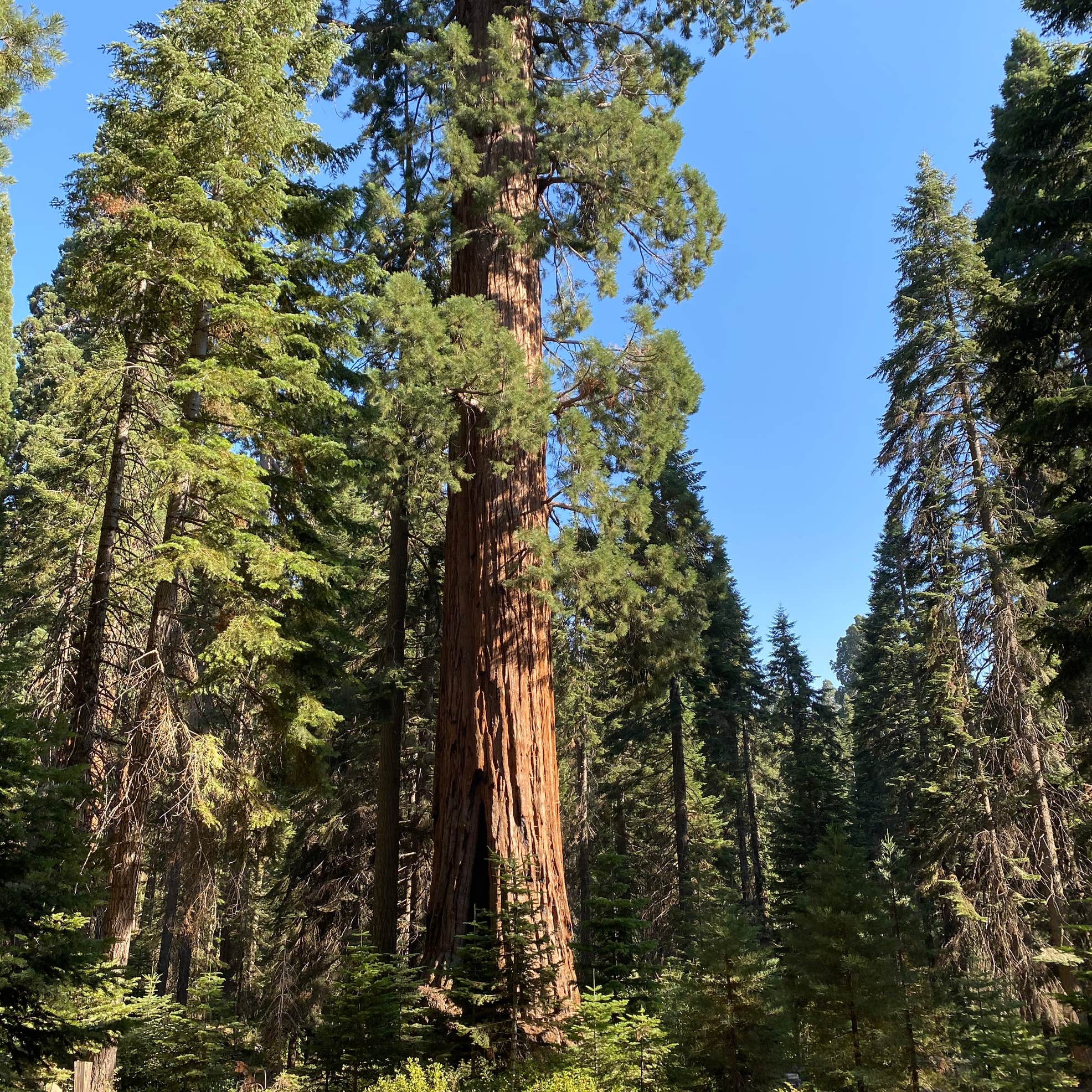 Balch Park Campground Camping | The Dyrt