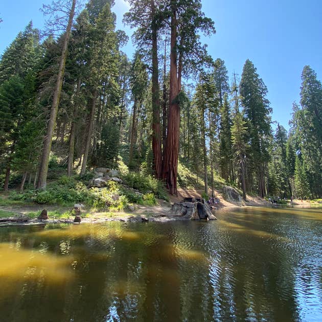 Balch Park Campground Camping | The Dyrt