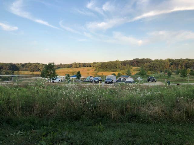 Camp Bullfrog Lake | Willow Springs, Illinois