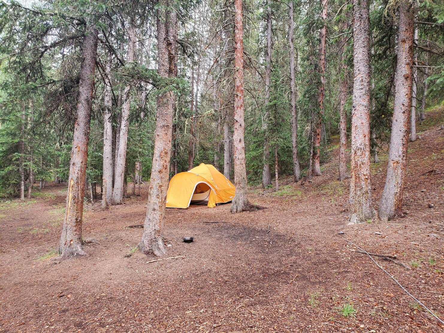 Lost Park Campground Camping | The Dyrt