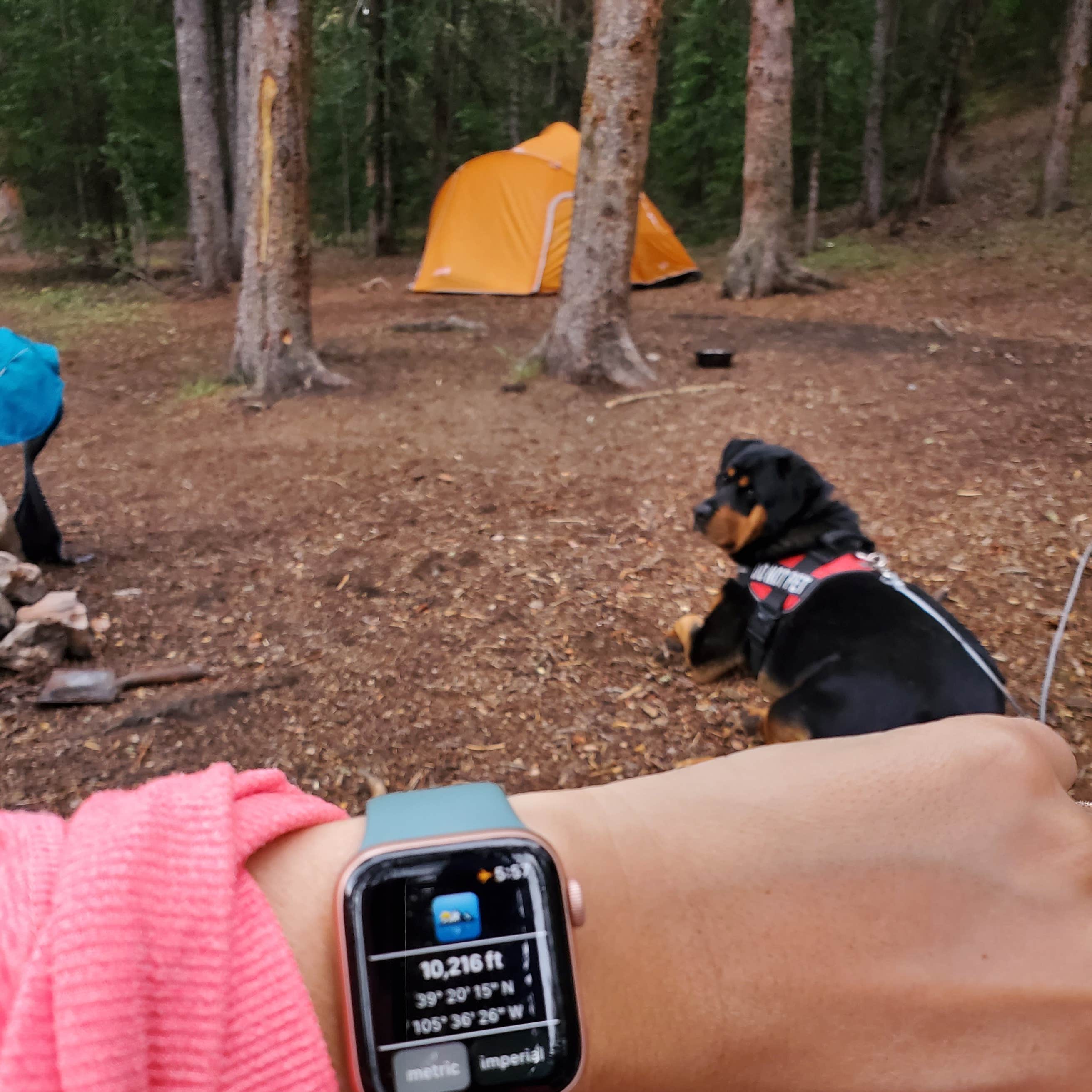 Lost Park Campground | Bailey, Colorado
