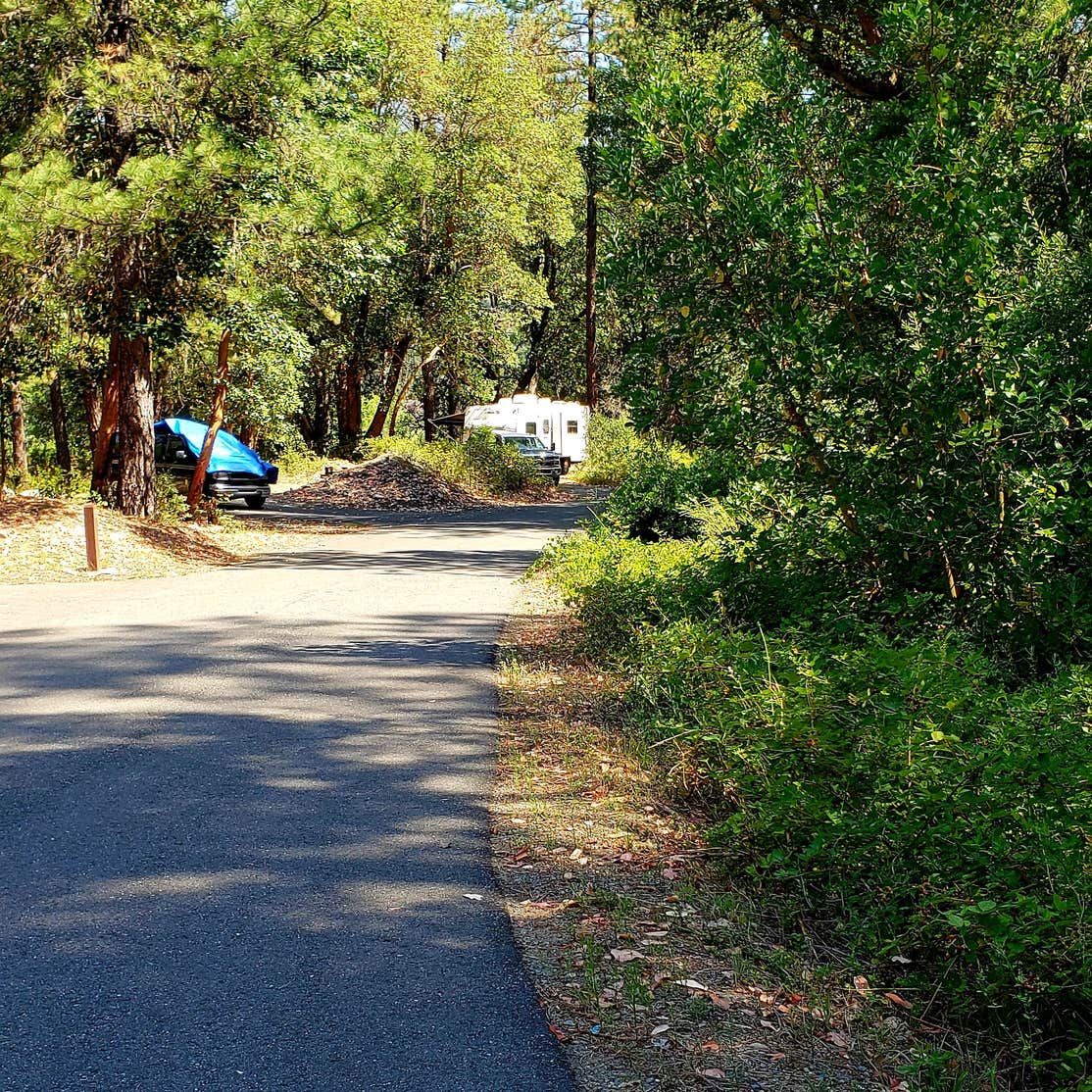 Douglas City Campground | Douglas City, California