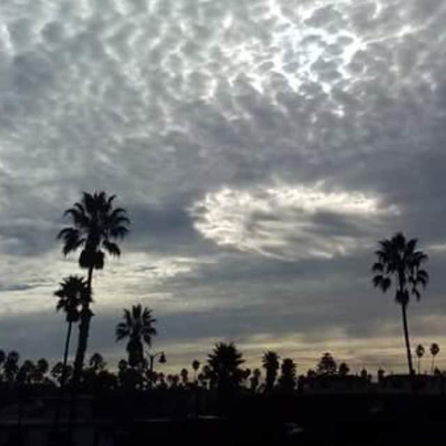 Emma Wood State Beach Camping | Ventura, CA | The Dyrt