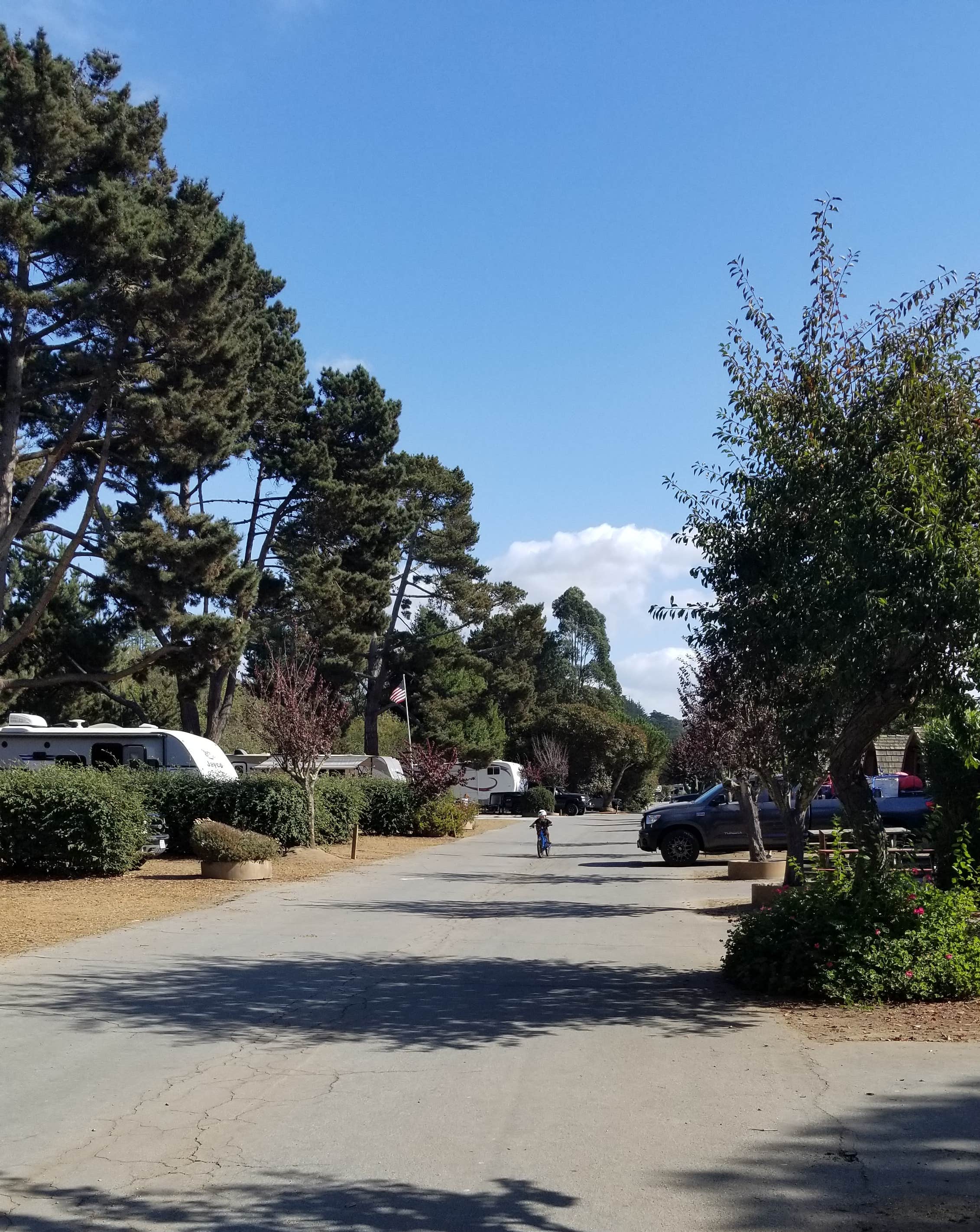 Santa Cruz/Monterey Bay KOA Holiday Camping | Watsonville, CA