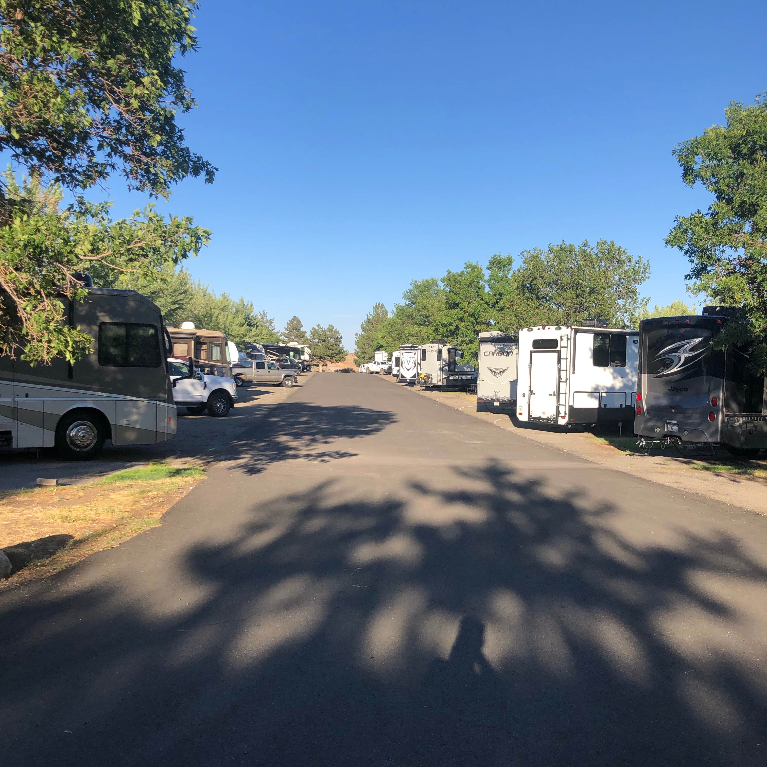 Reno KOA at Boomtown Casino Camping | The Dyrt