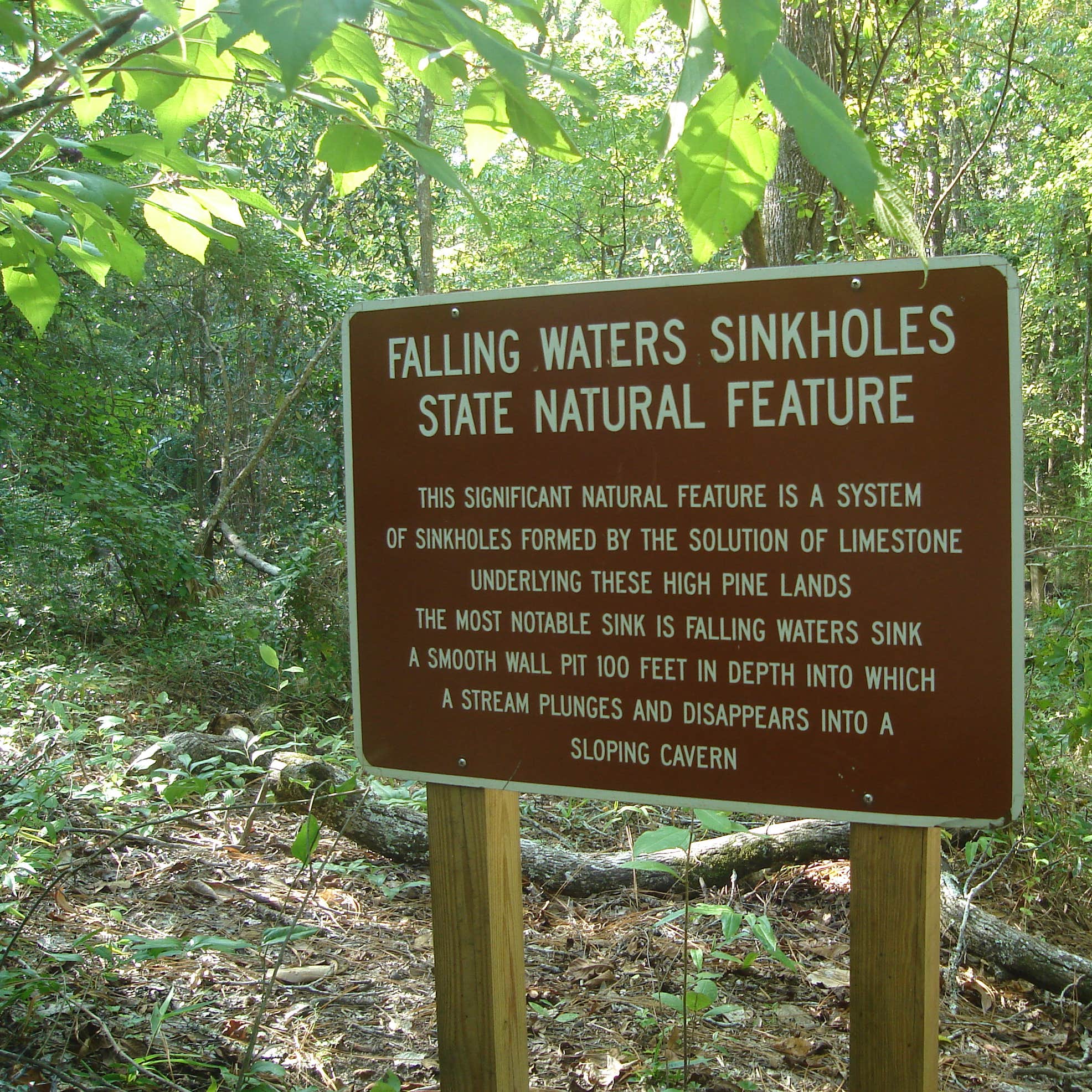 Falling Waters State Park Camping | The Dyrt
