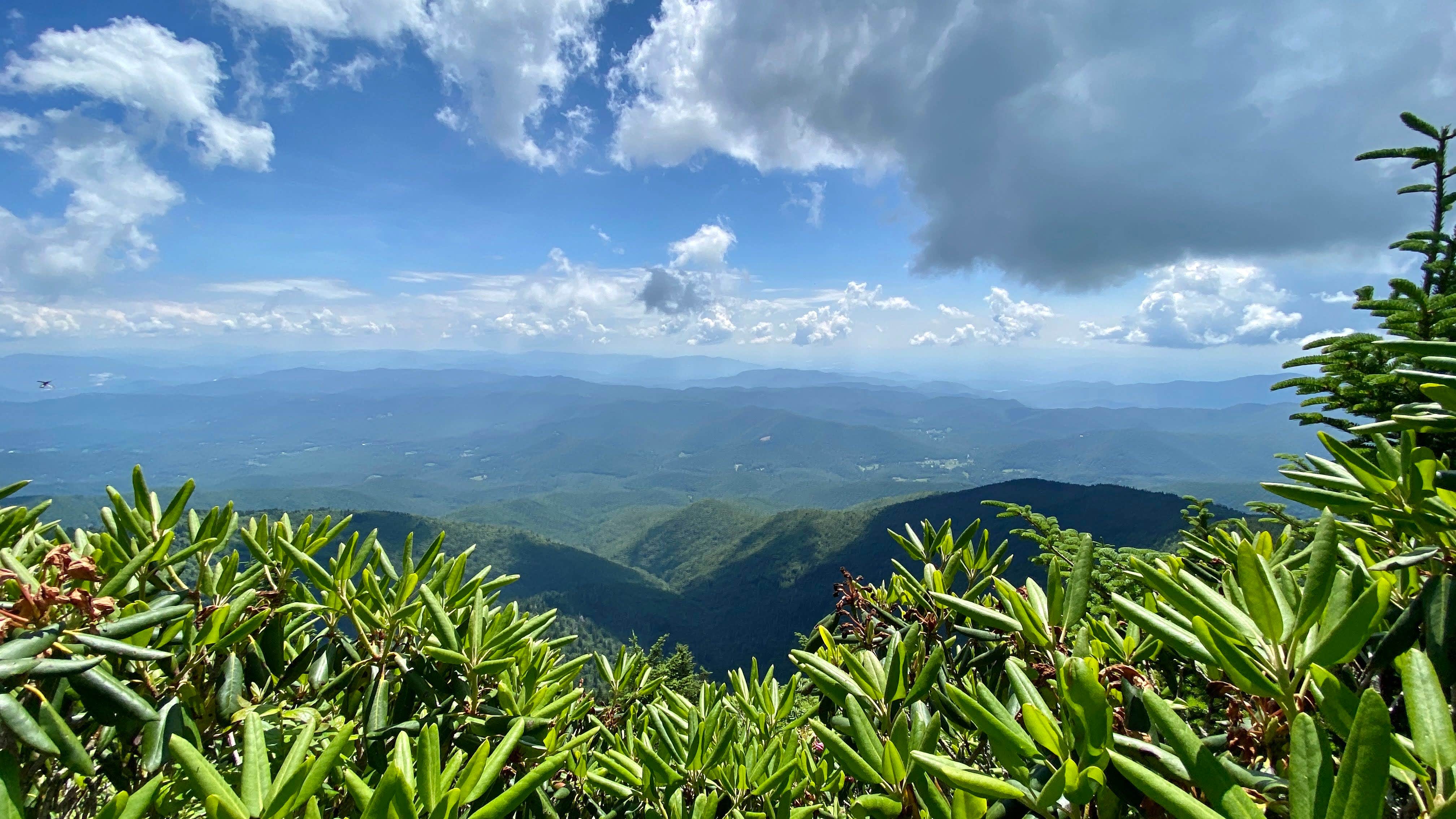 Black Mountain Campground | The Dyrt