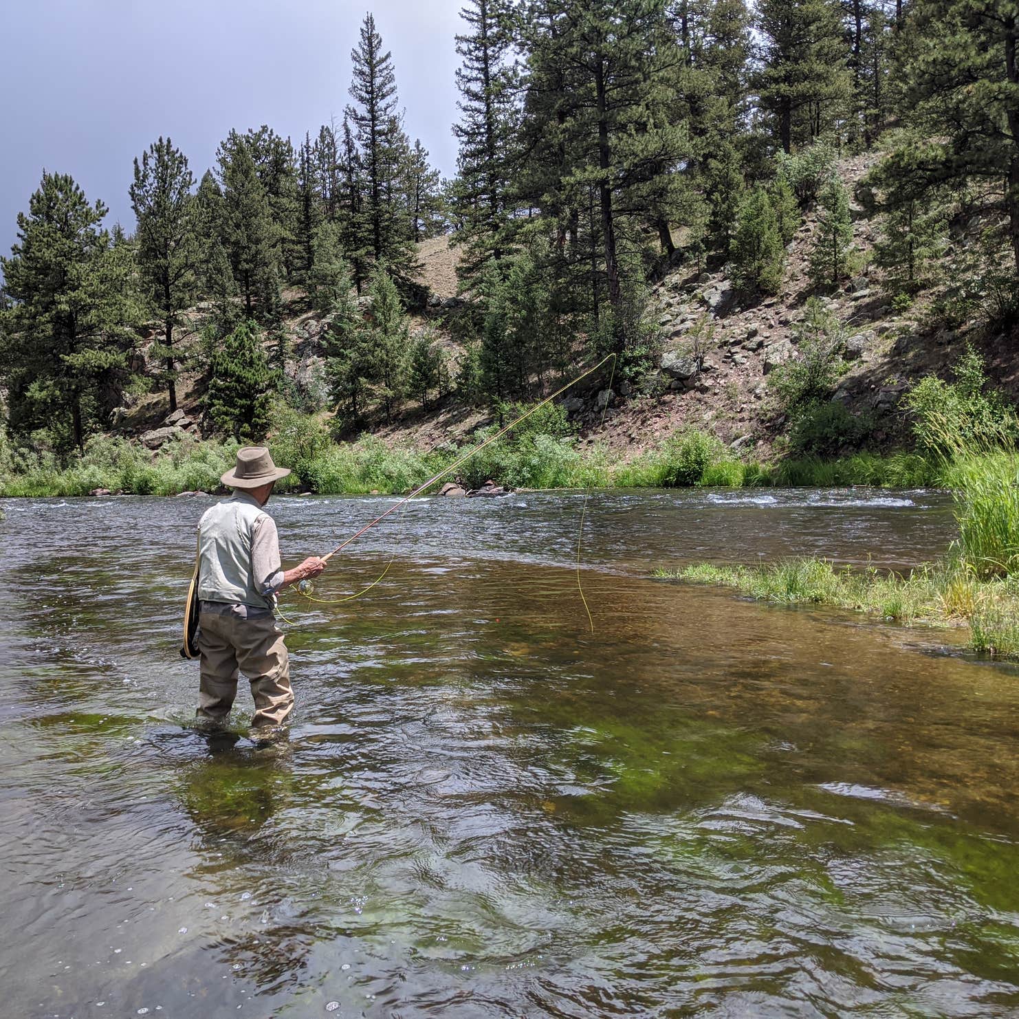 Springer Gulch Camping | Lake George, CO