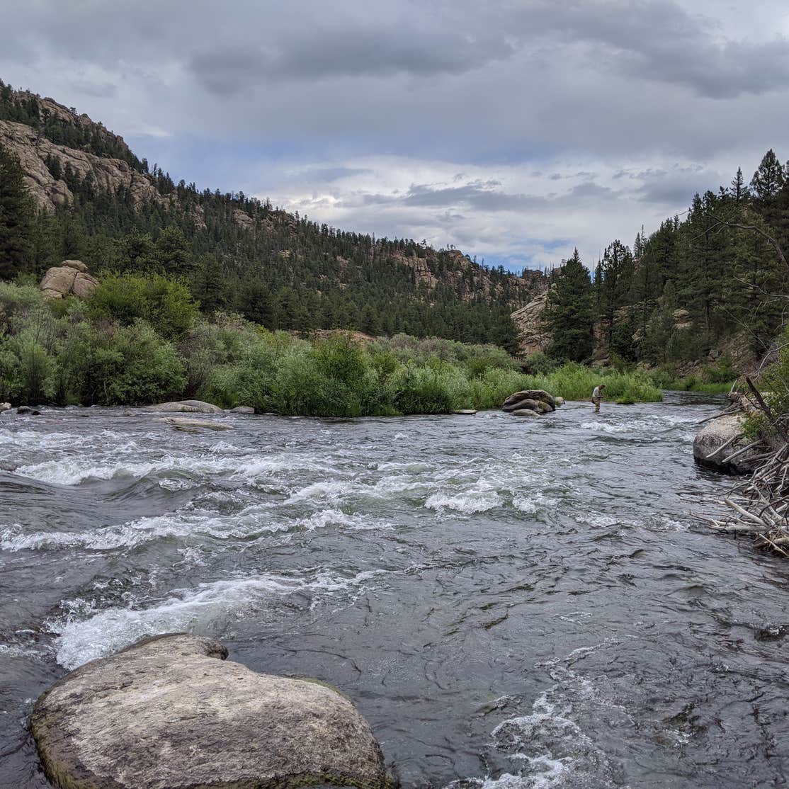 Springer Gulch Camping | Lake George, CO