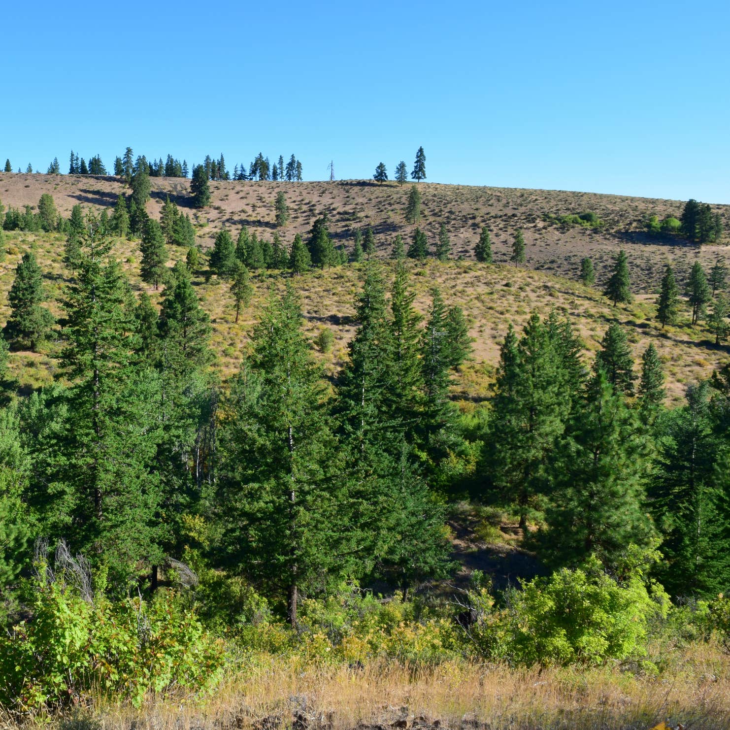 L.T. Murray Wildlife Area Camping | The Dyrt