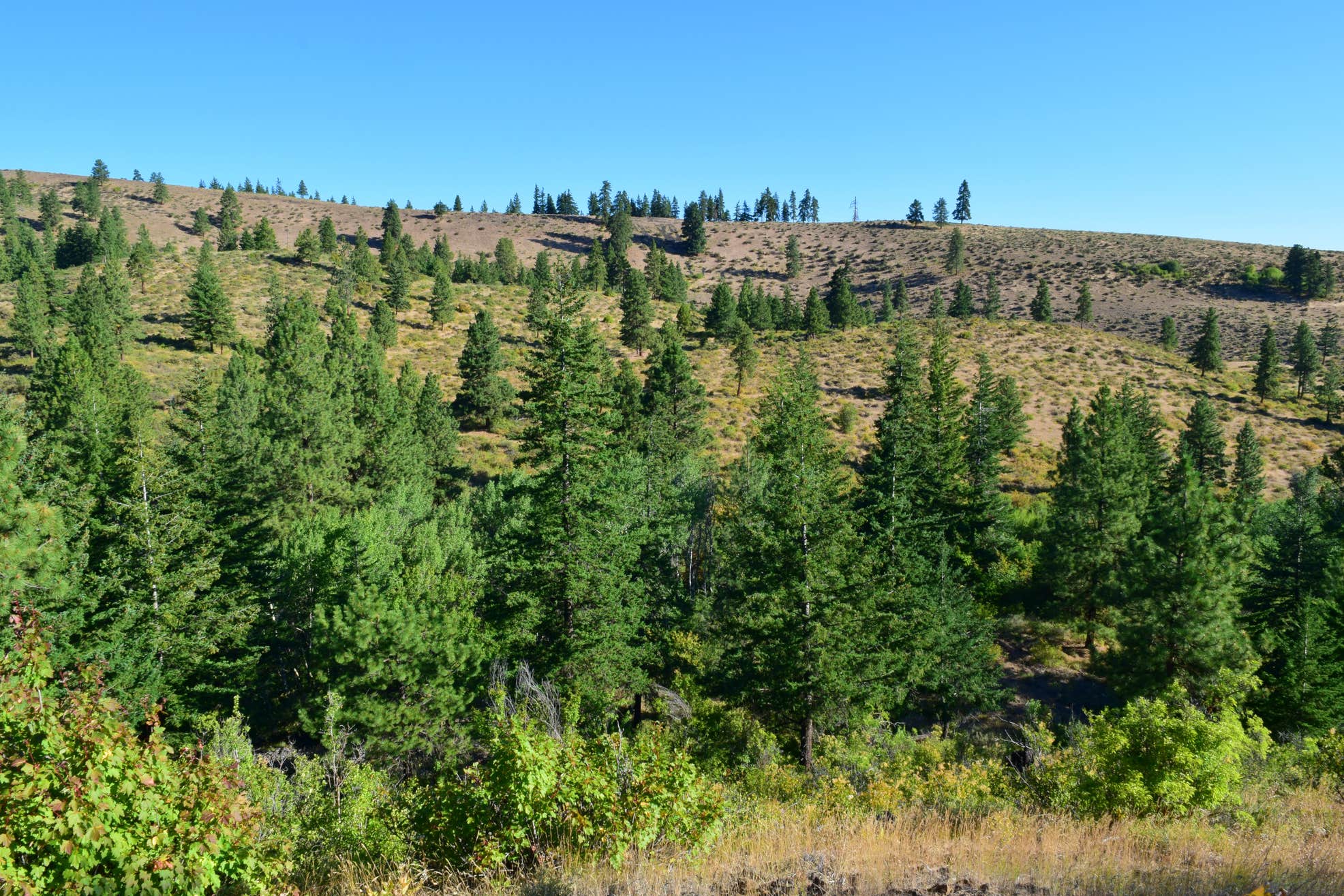 L.T. Murray Wildlife Area Camping | The Dyrt