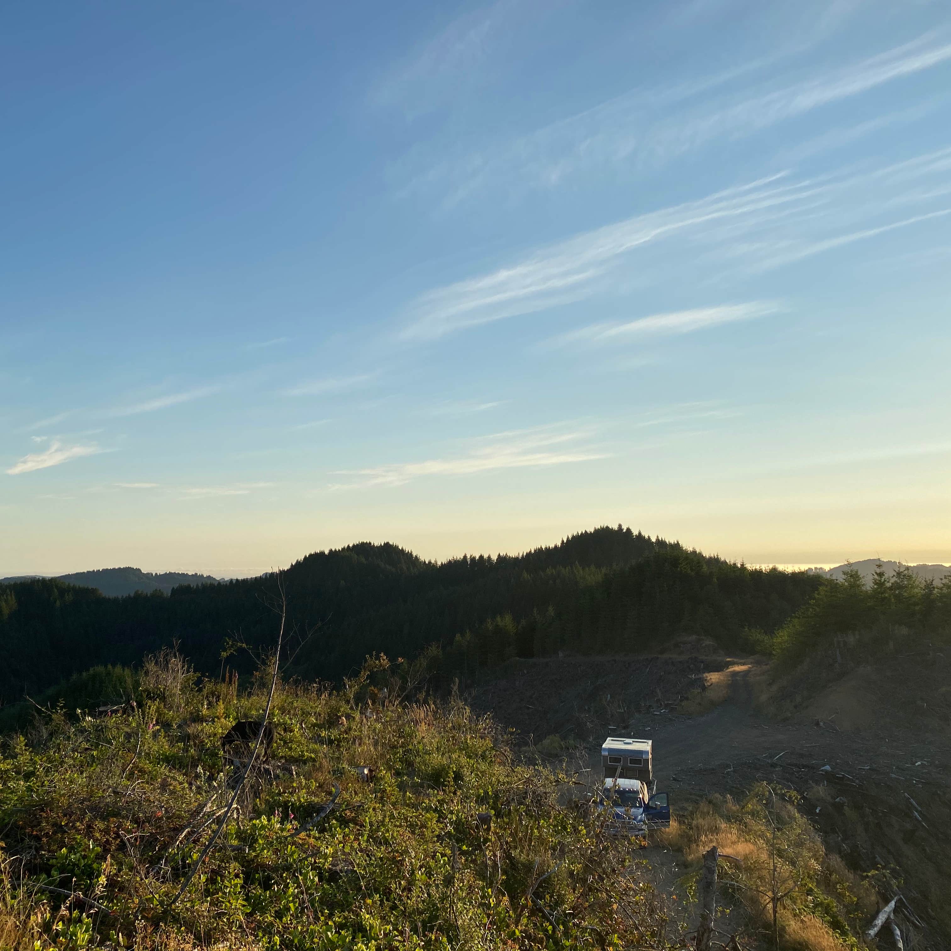 Elliott State Forest Dispersed Camping | The Dyrt