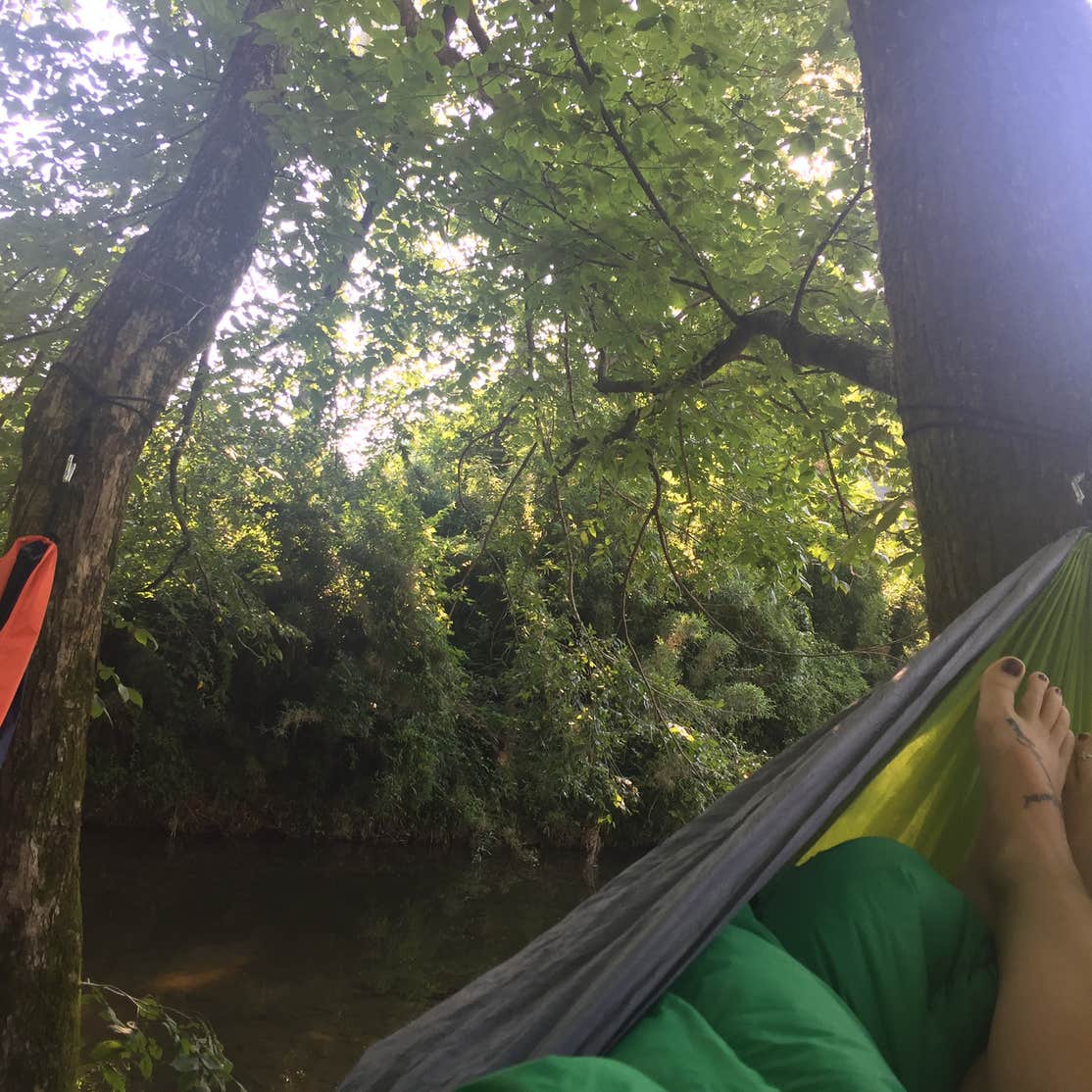 Natural Bridge Campground Camping | The Dyrt