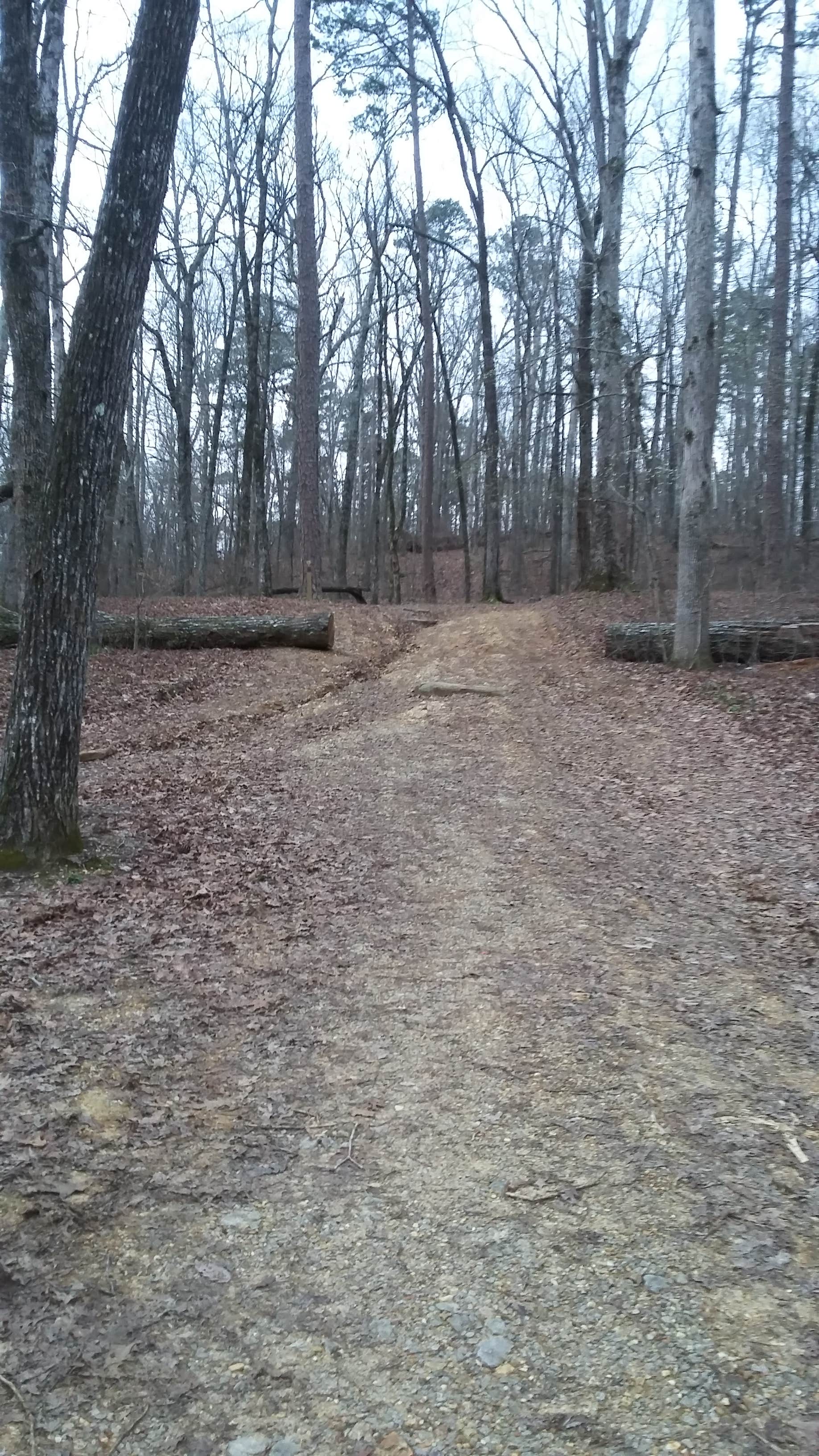 Tishomingo State Park Campground | Tishomingo, MS