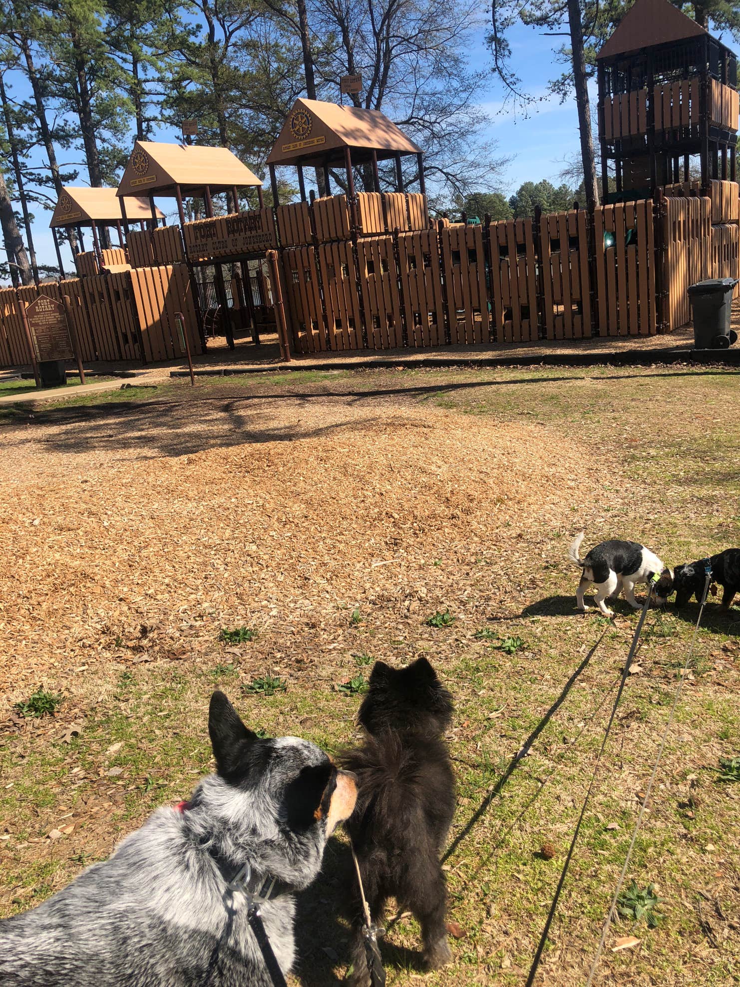 Craighead Forest Park Camping | The Dyrt