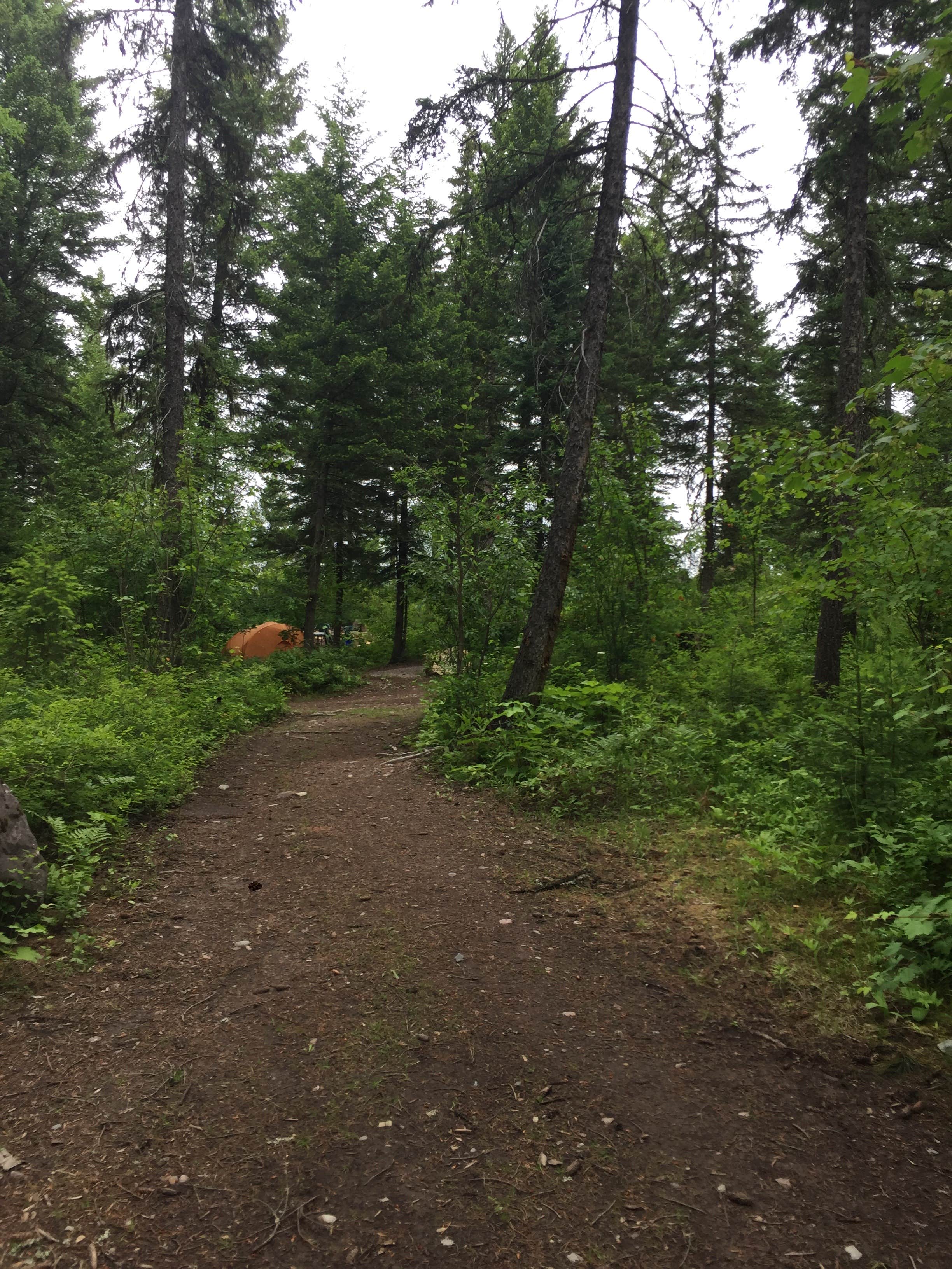 Timber Wolf Resort Camping | Hungry Horse, MT