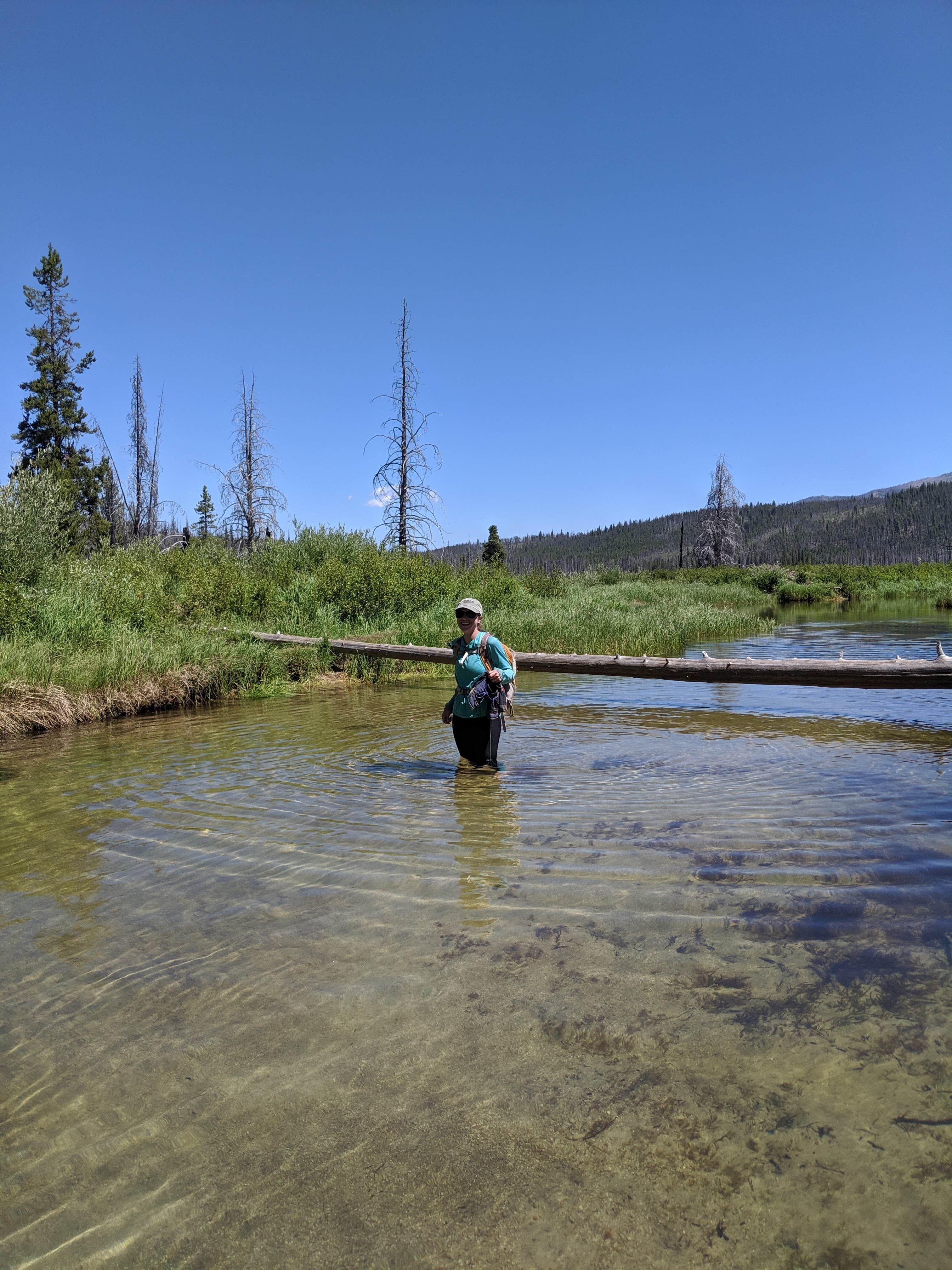 Loon Lake | The Dyrt