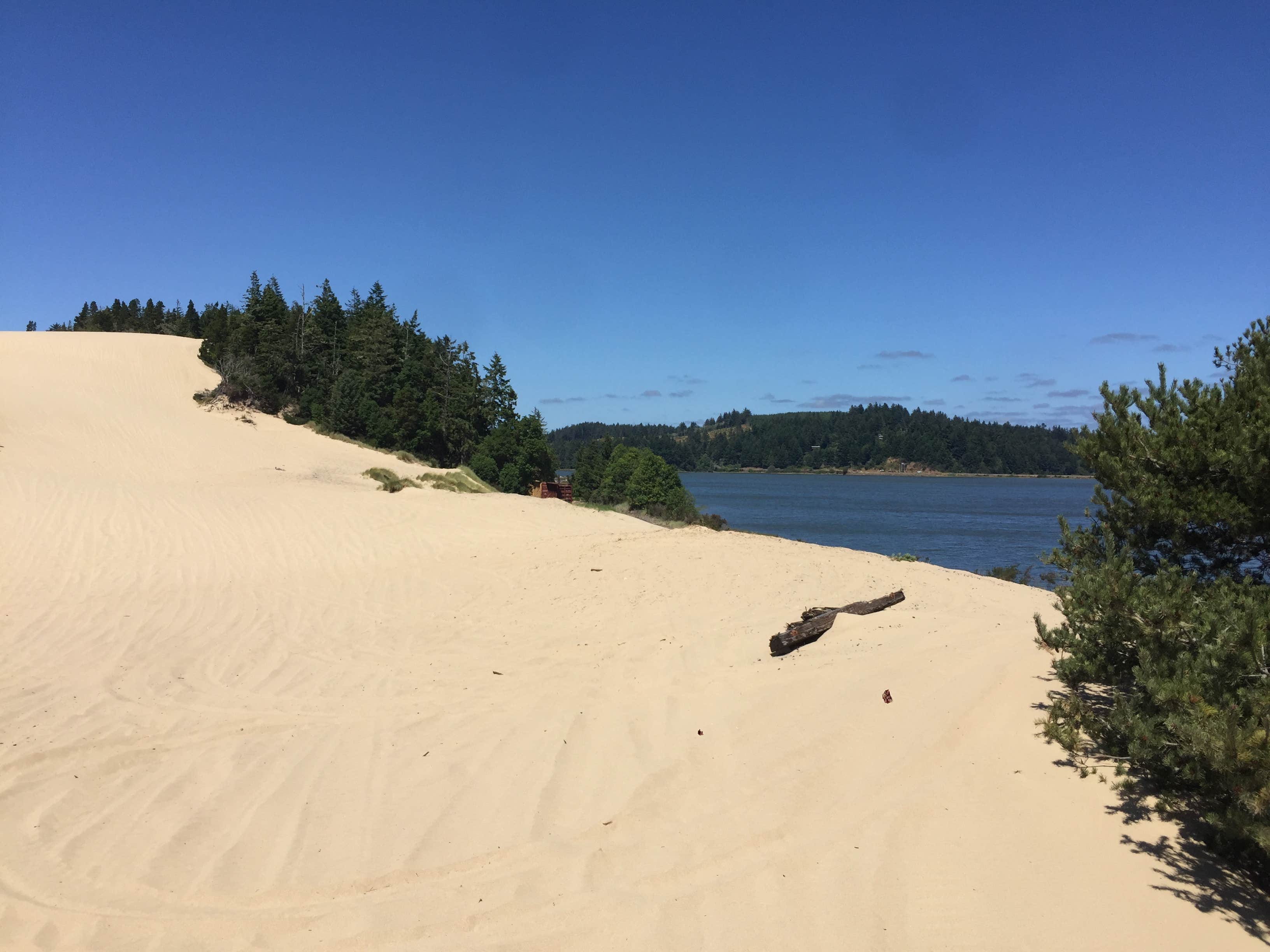 Boxcar Hill Campground | North Bend, Oregon