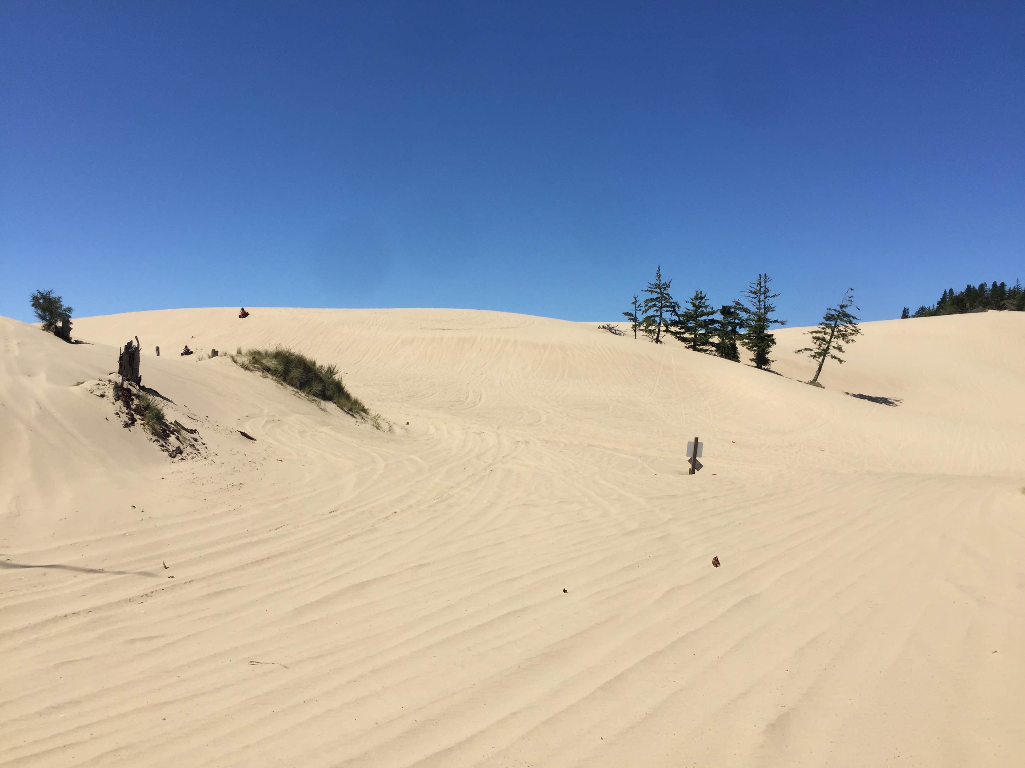 Boxcar Hill Campground | North Bend, Oregon