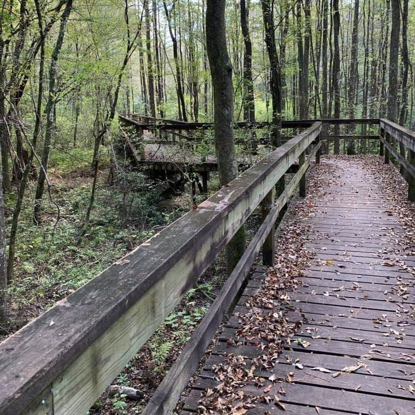 Percy Quin State Park Camping | The Dyrt