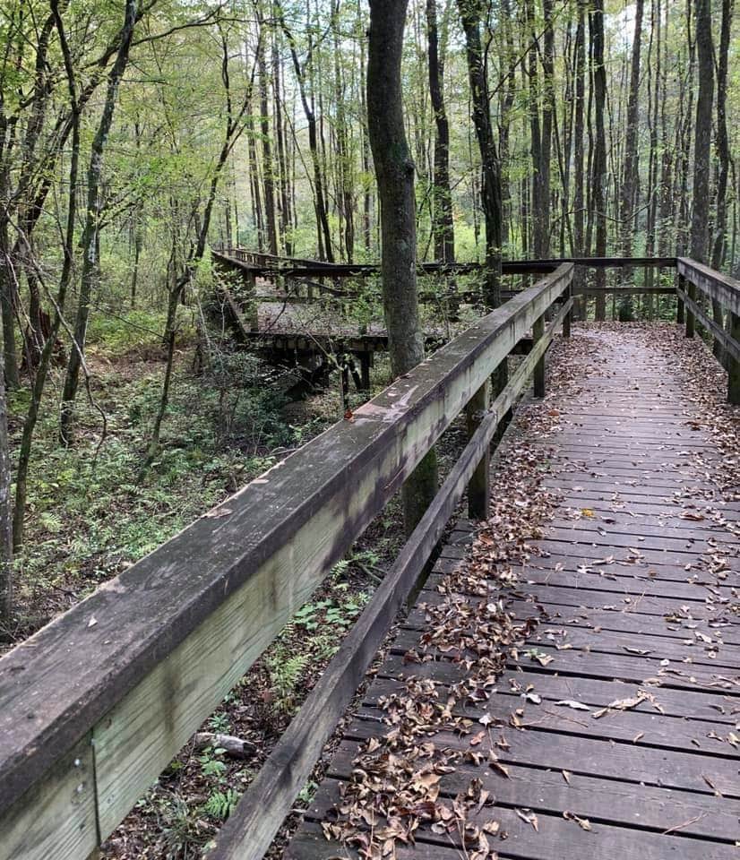 Percy Quin State Park Campground | McComb, MS